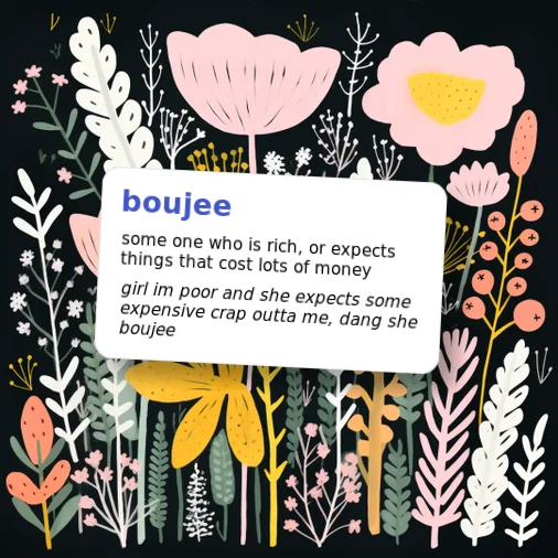 Urban Dictionary: boujee