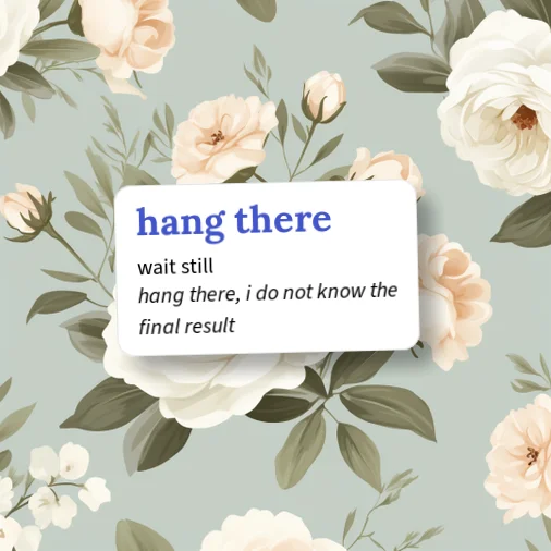 Urban Dictionary: hang there