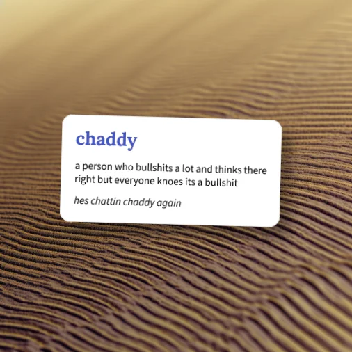 Urban Dictionary: chaddi