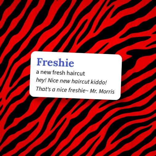 Urban Dictionary: Freshie