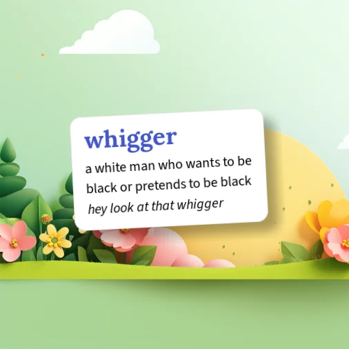 Urban Dictionary: whigger
