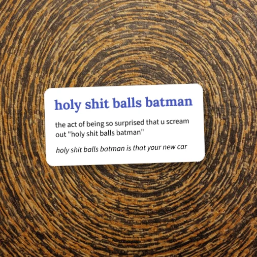 Urban Dictionary: holy shit batman