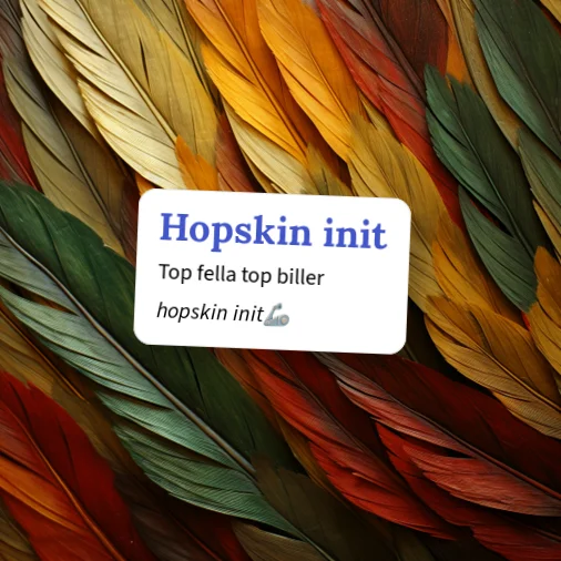 Urban Dictionary: hopskin