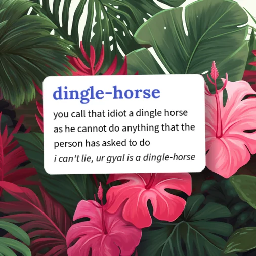 Urban Dictionary: dingle-horse