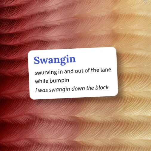 Urban Dictionary: swangin’