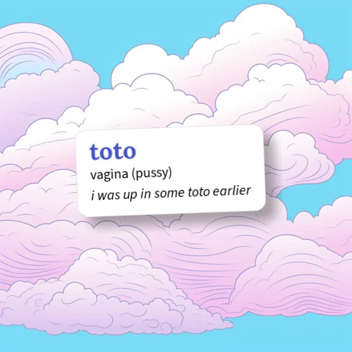 Urban Dictionary: toto