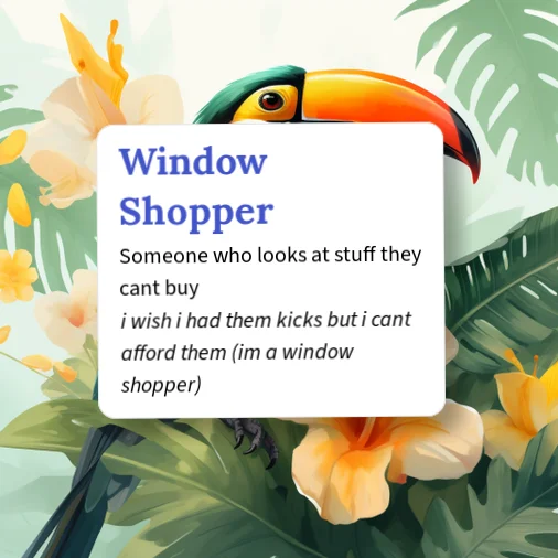Urban Dictionary: Window-Shopper