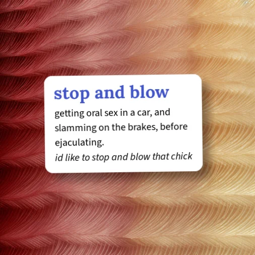 Urban Dictionary: stop and blow