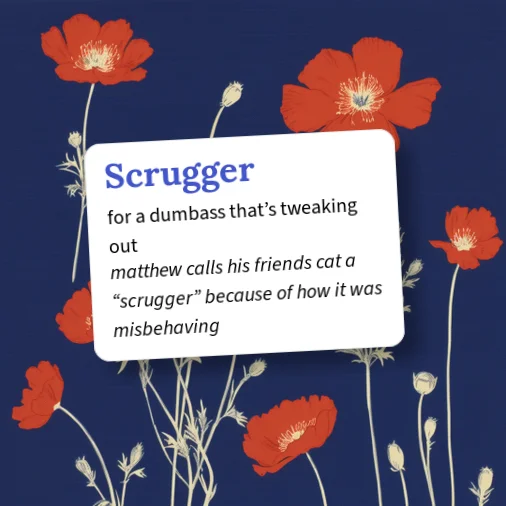 Urban Dictionary: Scrugger