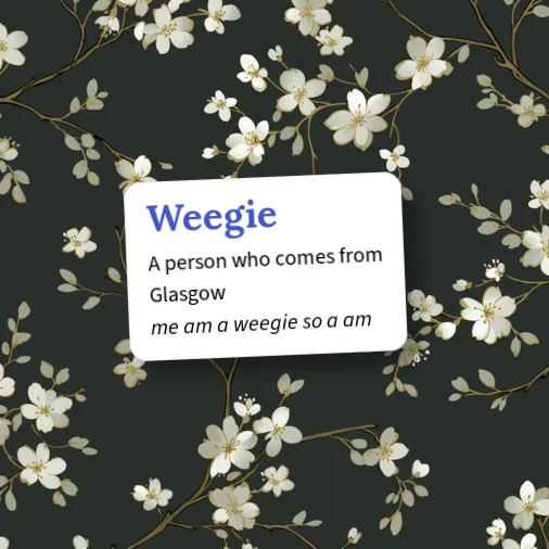 Urban Dictionary: Weegie
