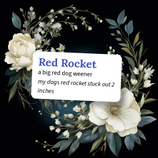 Urban Dictionary: Rocket Red