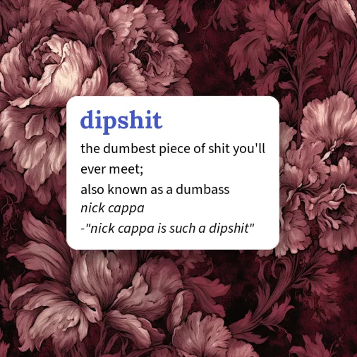 Urban Dictionary: dipshit