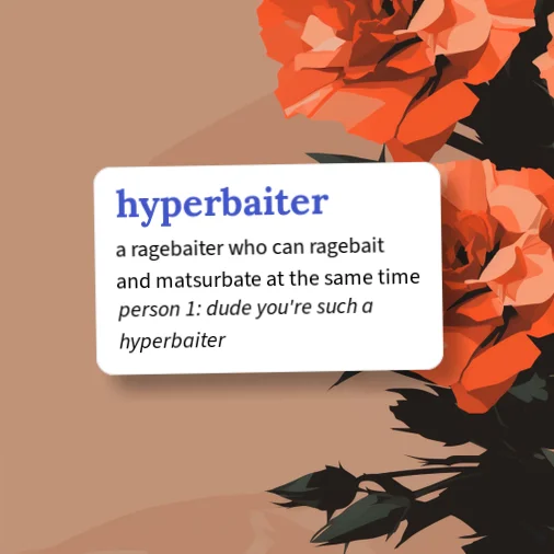 Urban Dictionary: hyperbaiter