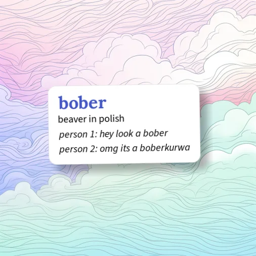 Urban Dictionary: bober