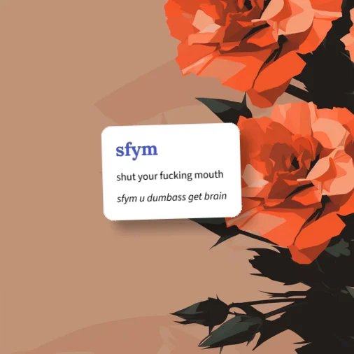 Urban Dictionary: sfym
