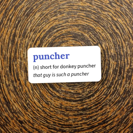Urban Dictionary: Punchers