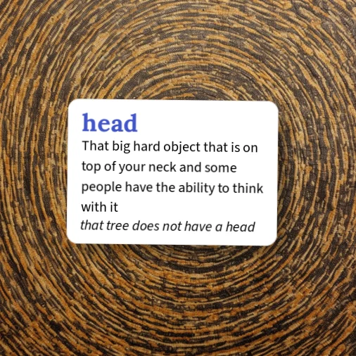 Urban Dictionary: head