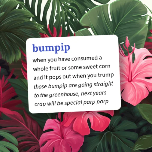 Urban Dictionary: bumpip