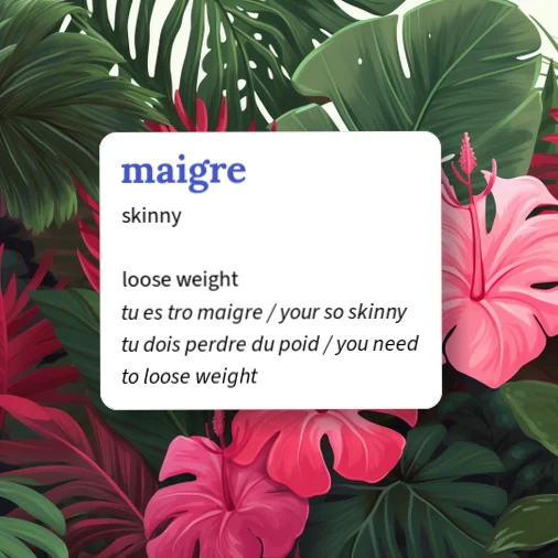Urban Dictionary: maigre