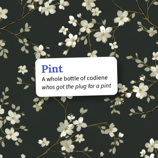Urban Dictionary: Pint