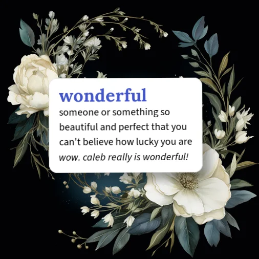 Urban Dictionary: wonderful