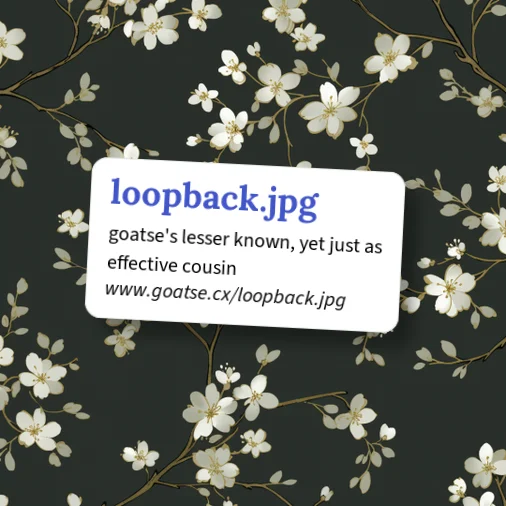 Urban Dictionary: loopback.jpg