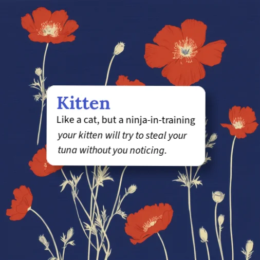 Urban Dictionary: Kitten